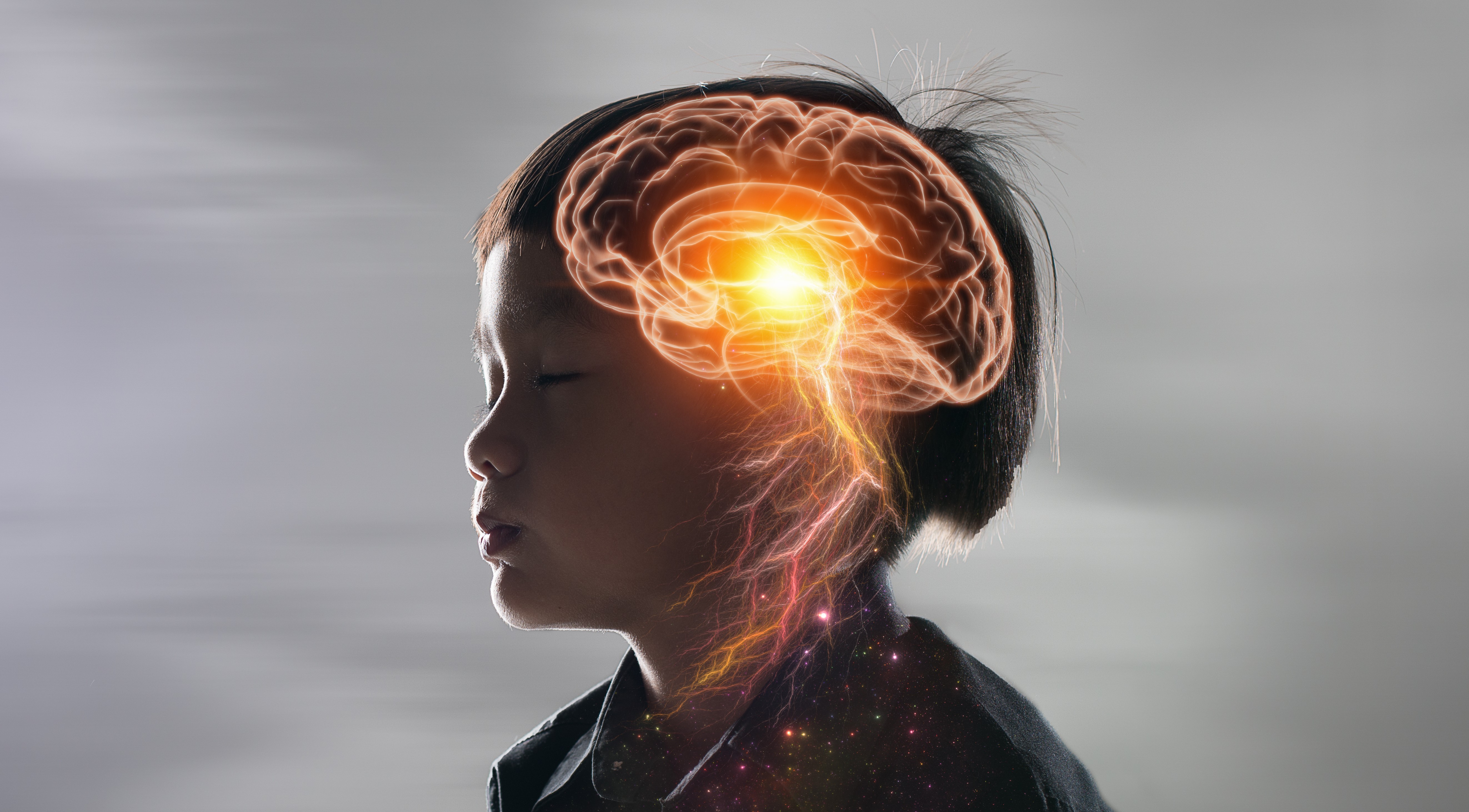 Digital Technology and the Reading Brain: What Reading Legislation ...